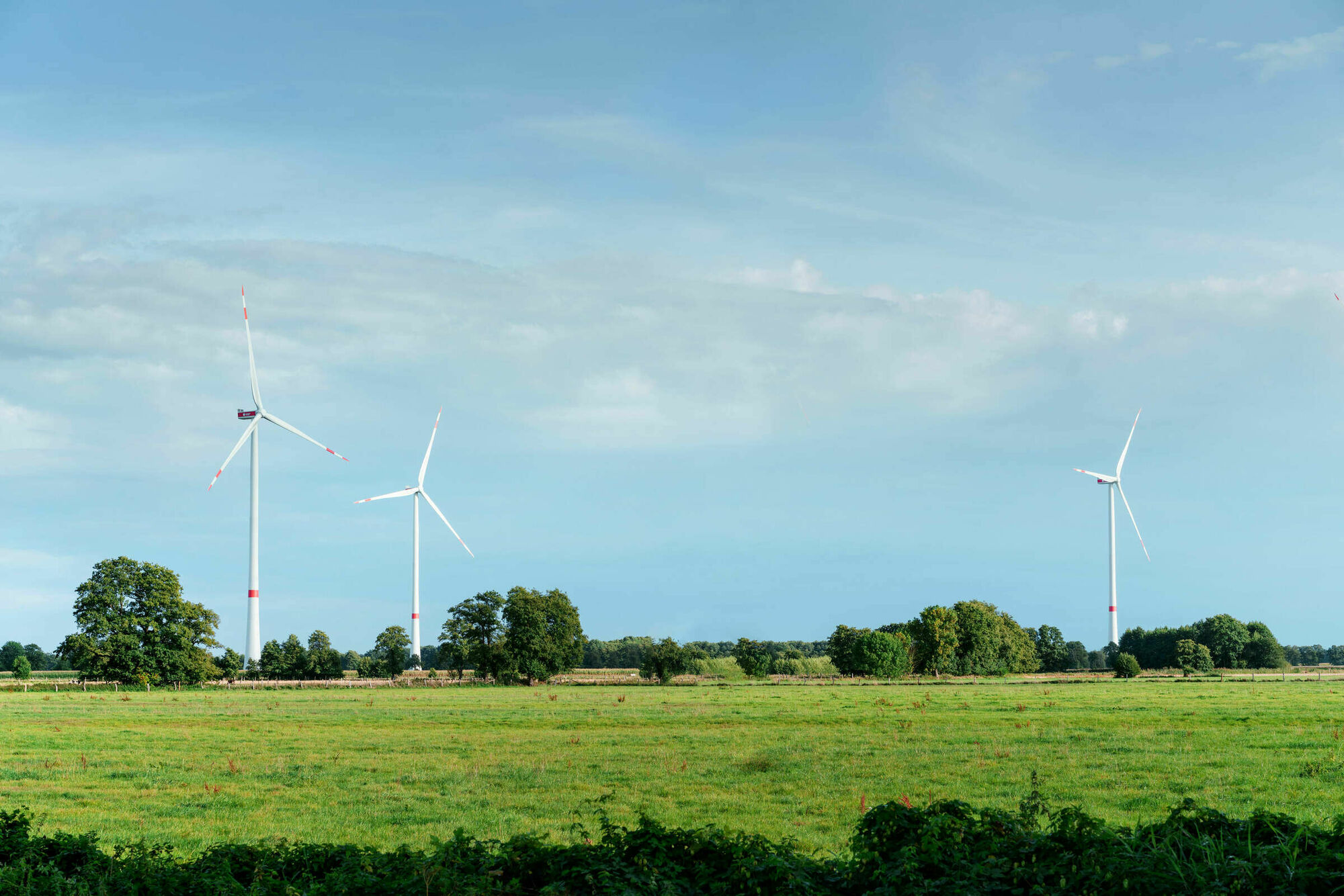 Sustainability Council | Volkswagen Group