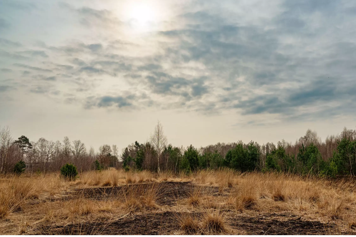 Sustainability: Nature