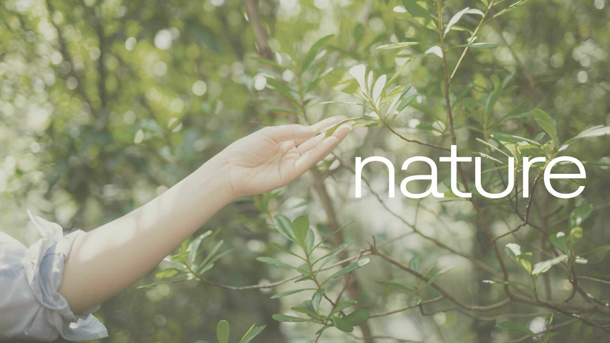 Sustainability: Nature